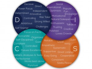 DISC Introduction | Strength Leader